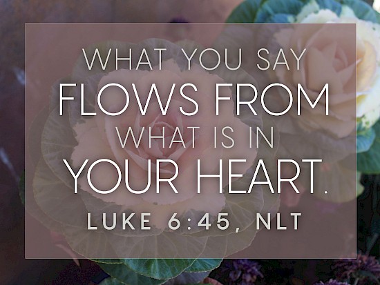 Home [www.olfic.org]